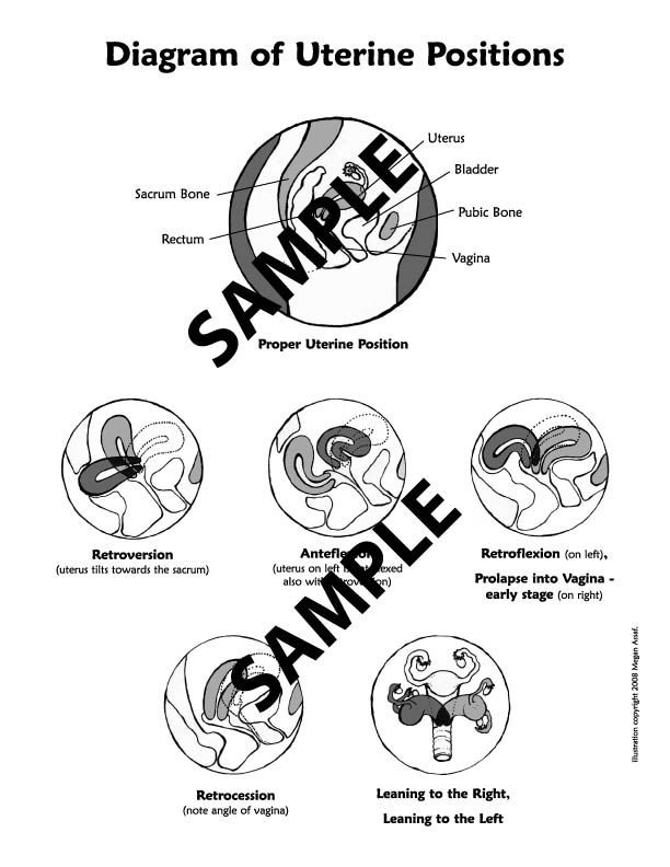 More Teaching Aids – Wombs For Wisdom